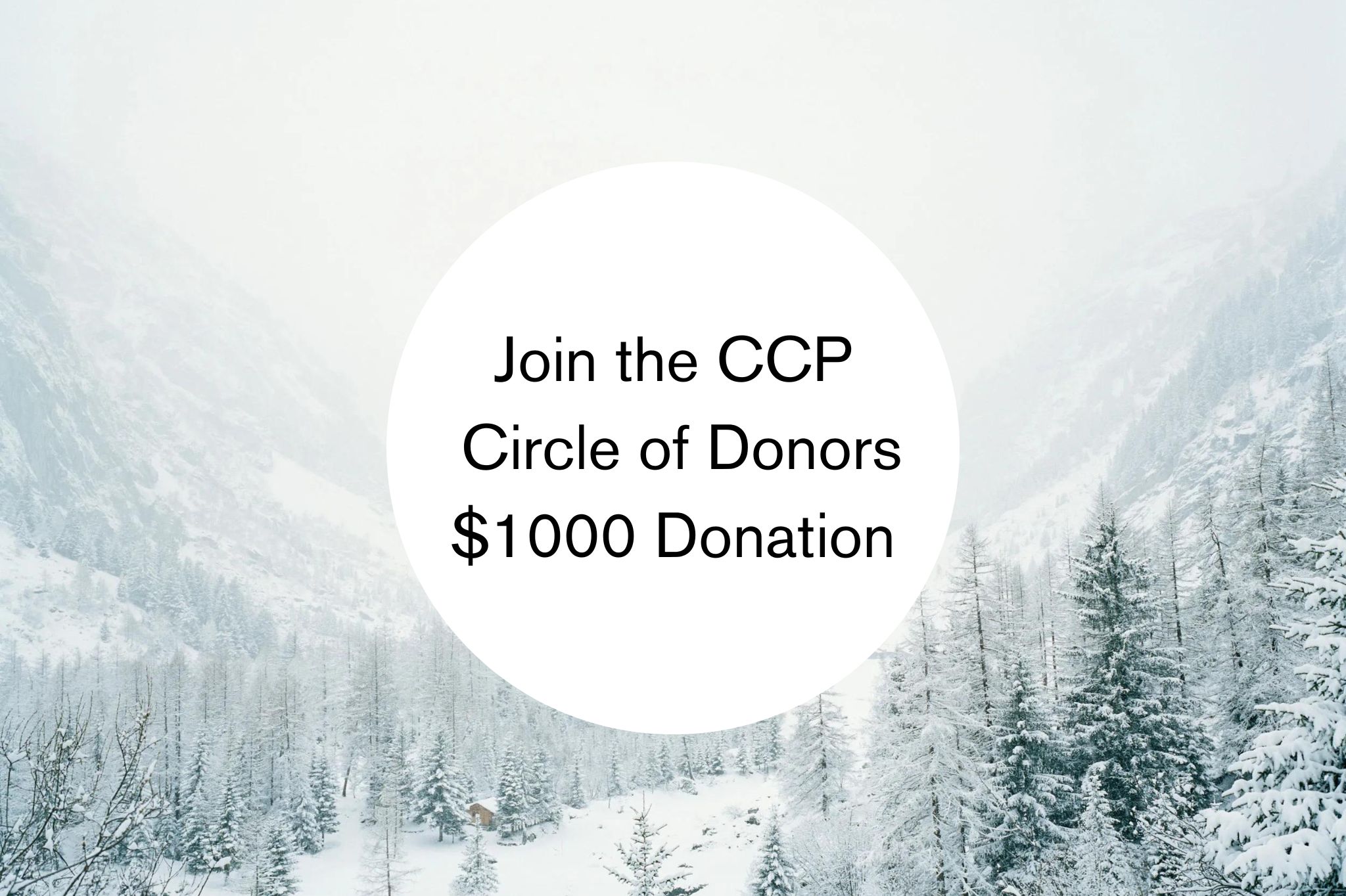 Donation - Centre for Contemporary Photography